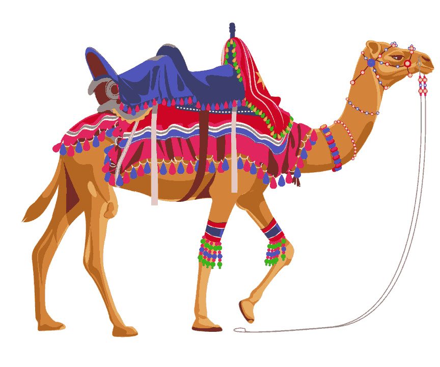 Rajasthani Camel – PaintWaint